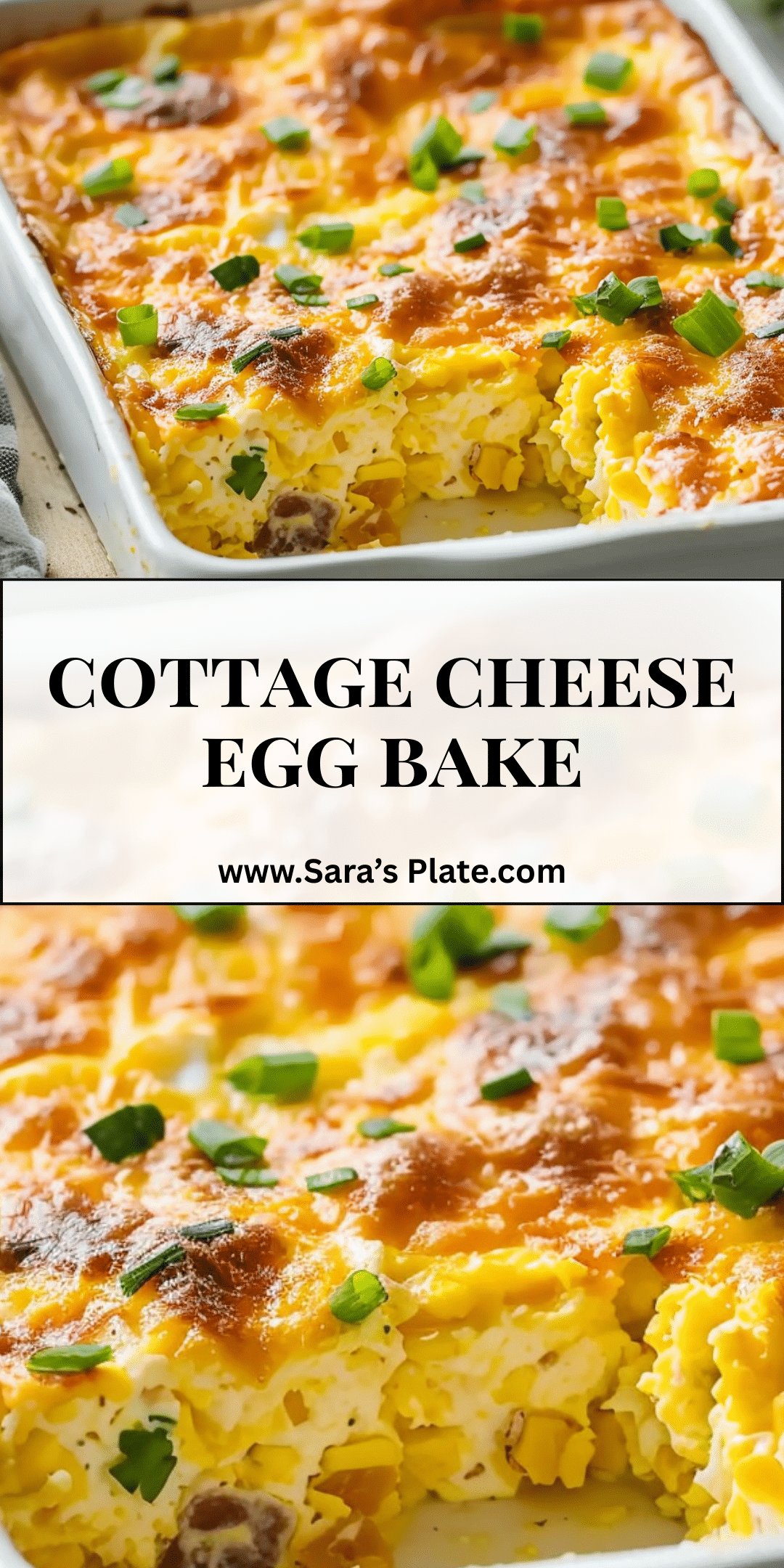 Cottage Cheese Egg Bake Casserole | Sara's Plate