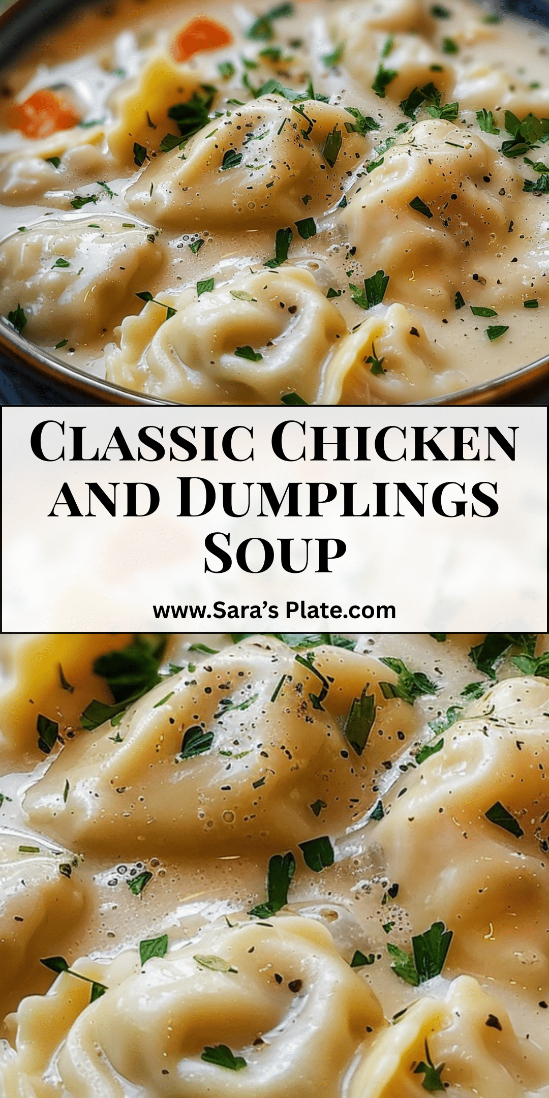Classic Chicken and Dumplings Soup | Sara's Plate