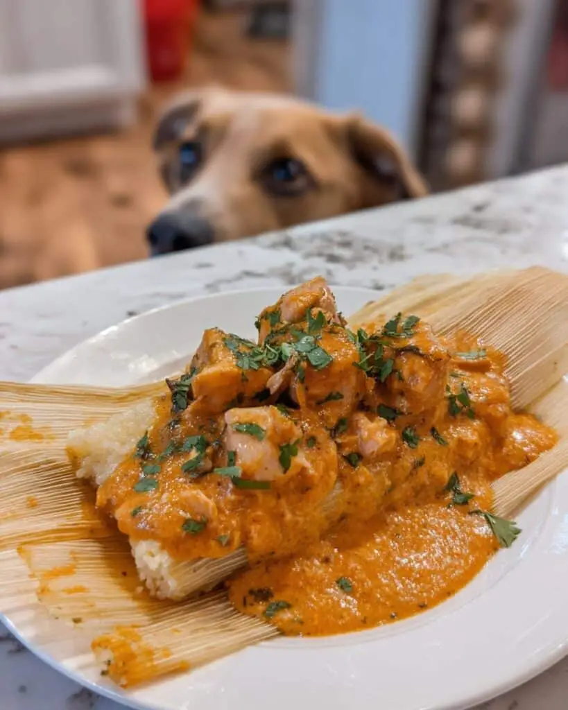 Chicken Tamales with Enchilada Sauce | Authentic Mexican Flavor